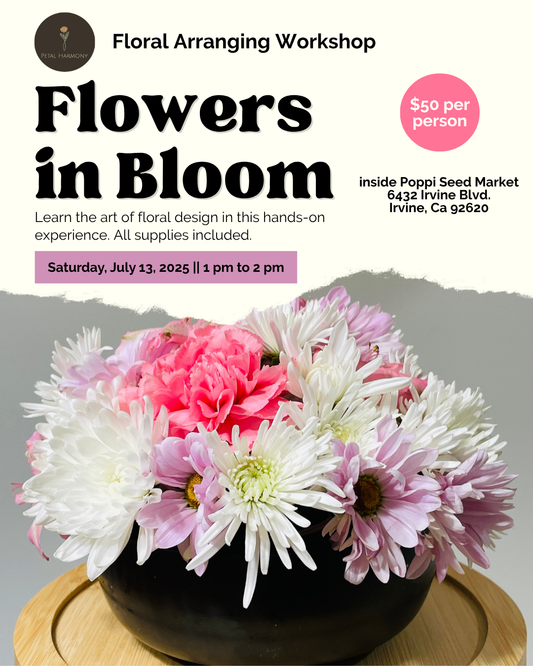 Workshops – Poppi Seed Market